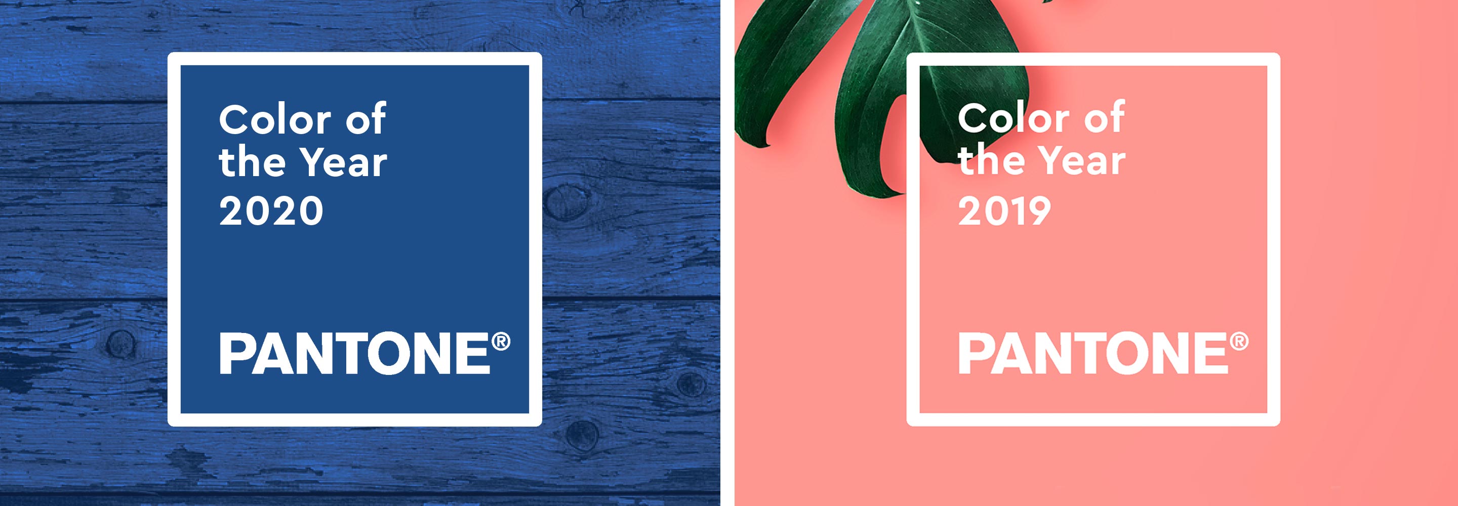 Pantone color 2025 - The color of the year